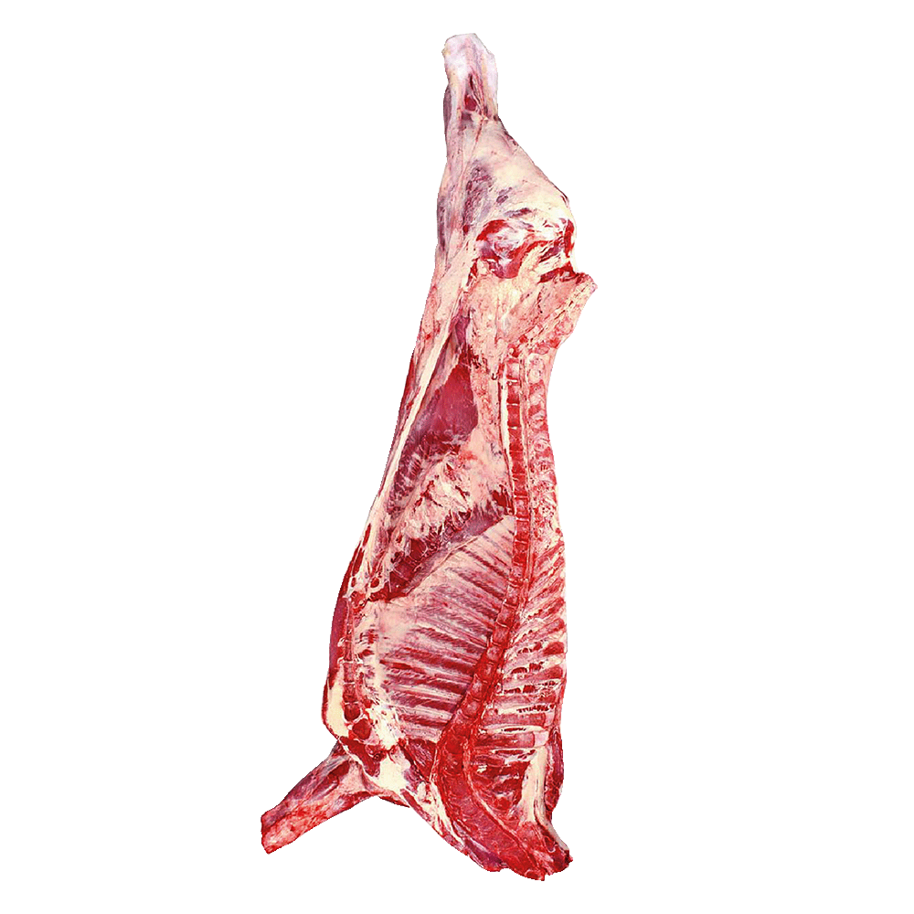 MEDIA RES DESPOSTADA Kg - Micro Go